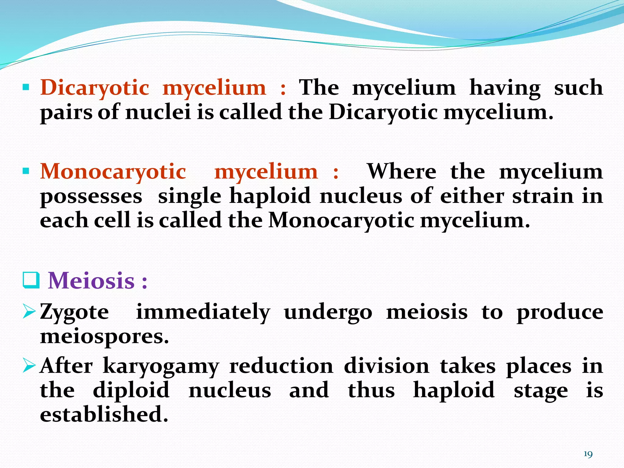 Reproduction in fungi | PPTX