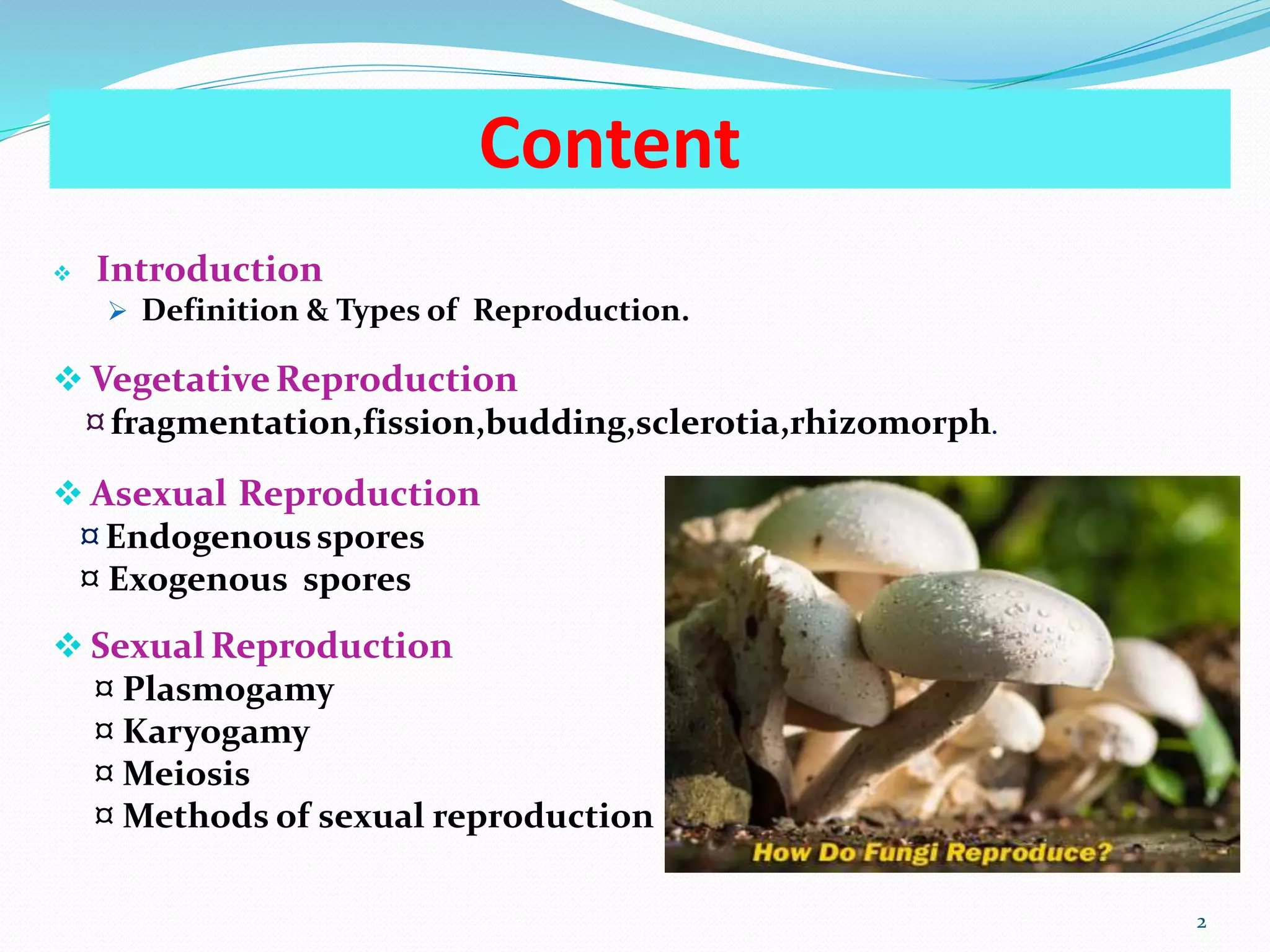 Reproduction in fungi | PPTX