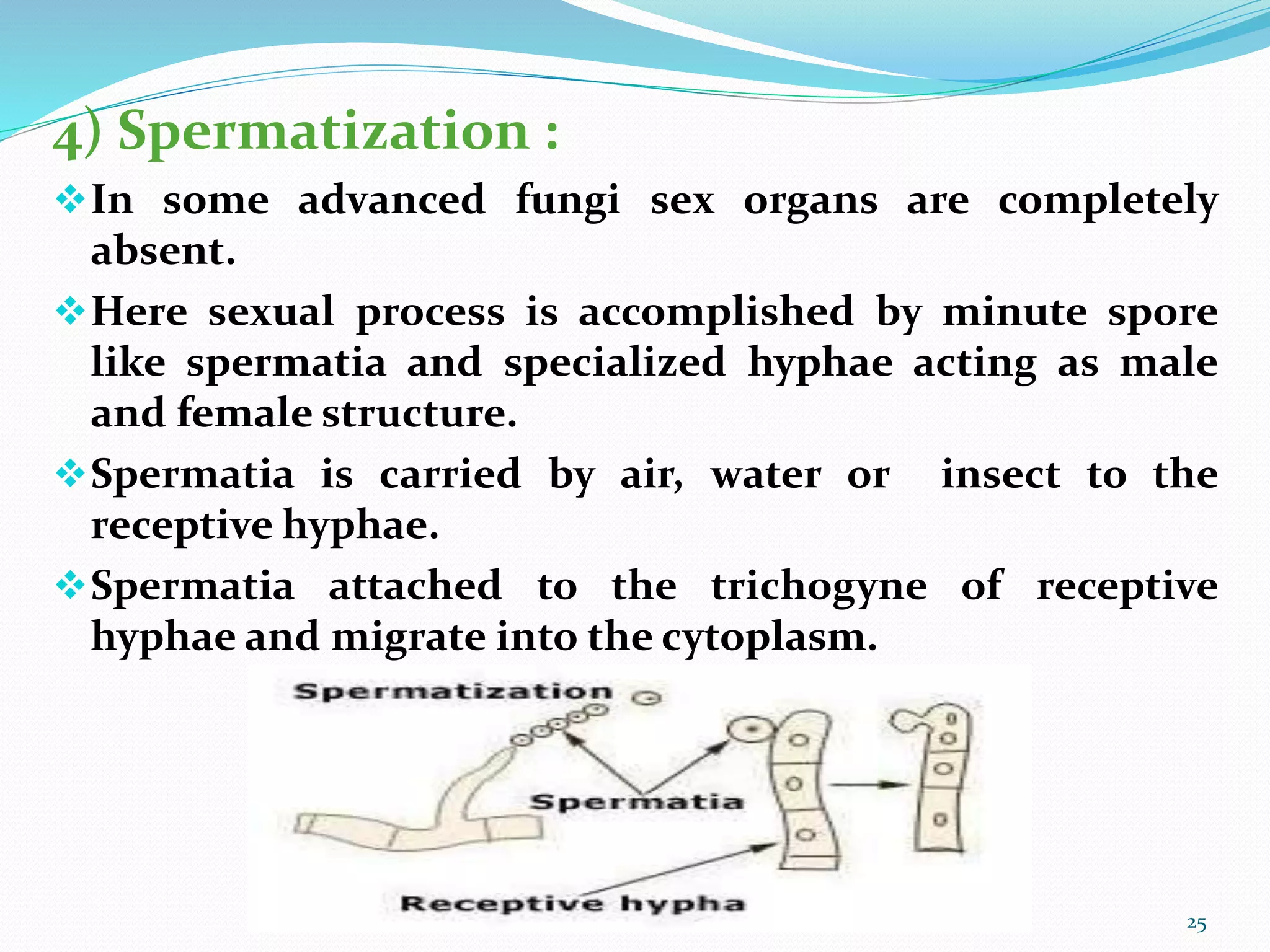Reproduction in fungi | PPTX