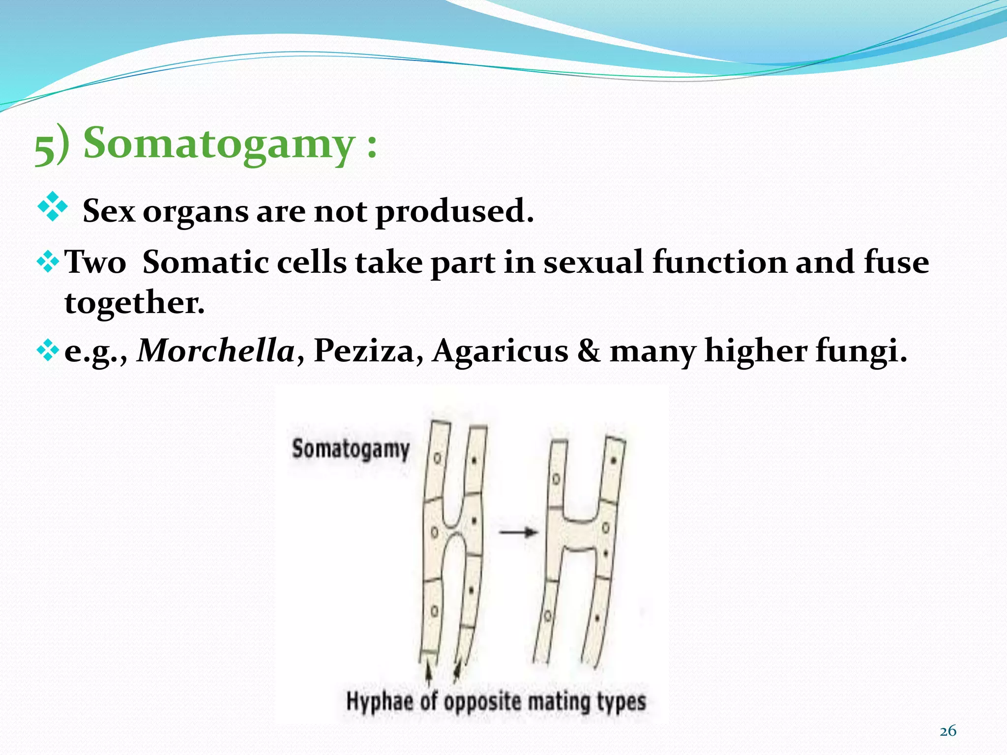 Reproduction in fungi | PPTX