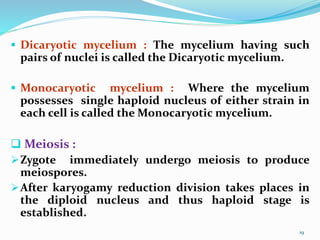 Reproduction in fungi | PPTX
