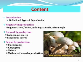 Reproduction in fungi | PPTX