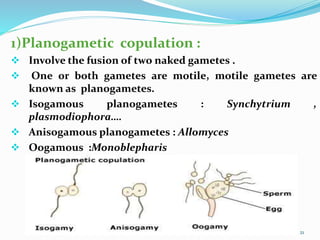 Reproduction in fungi | PPTX