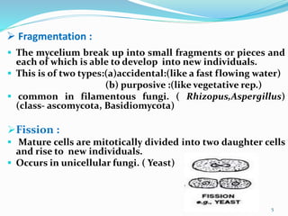 Reproduction in fungi | PPTX