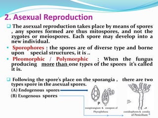 Reproduction in fungi | PPTX
