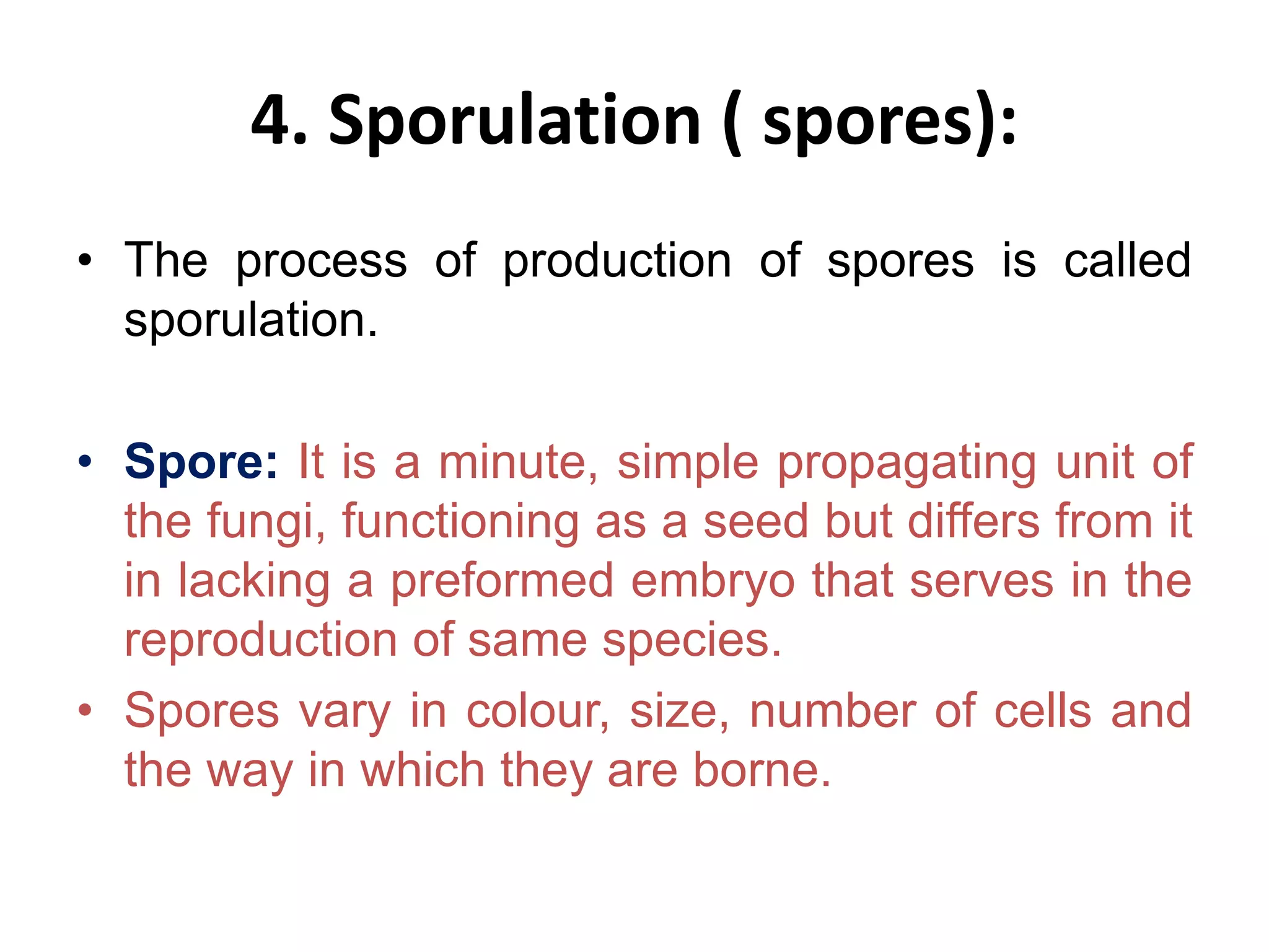Reproduction in fungi | PPTX