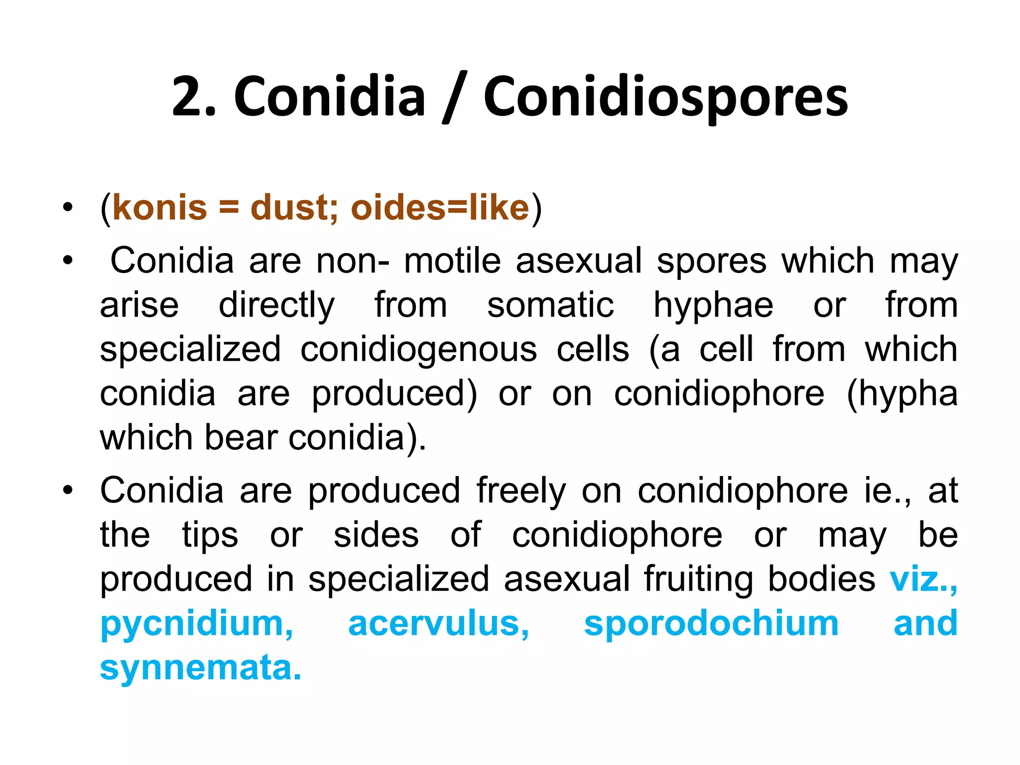 Reproduction in fungi | PPTX
