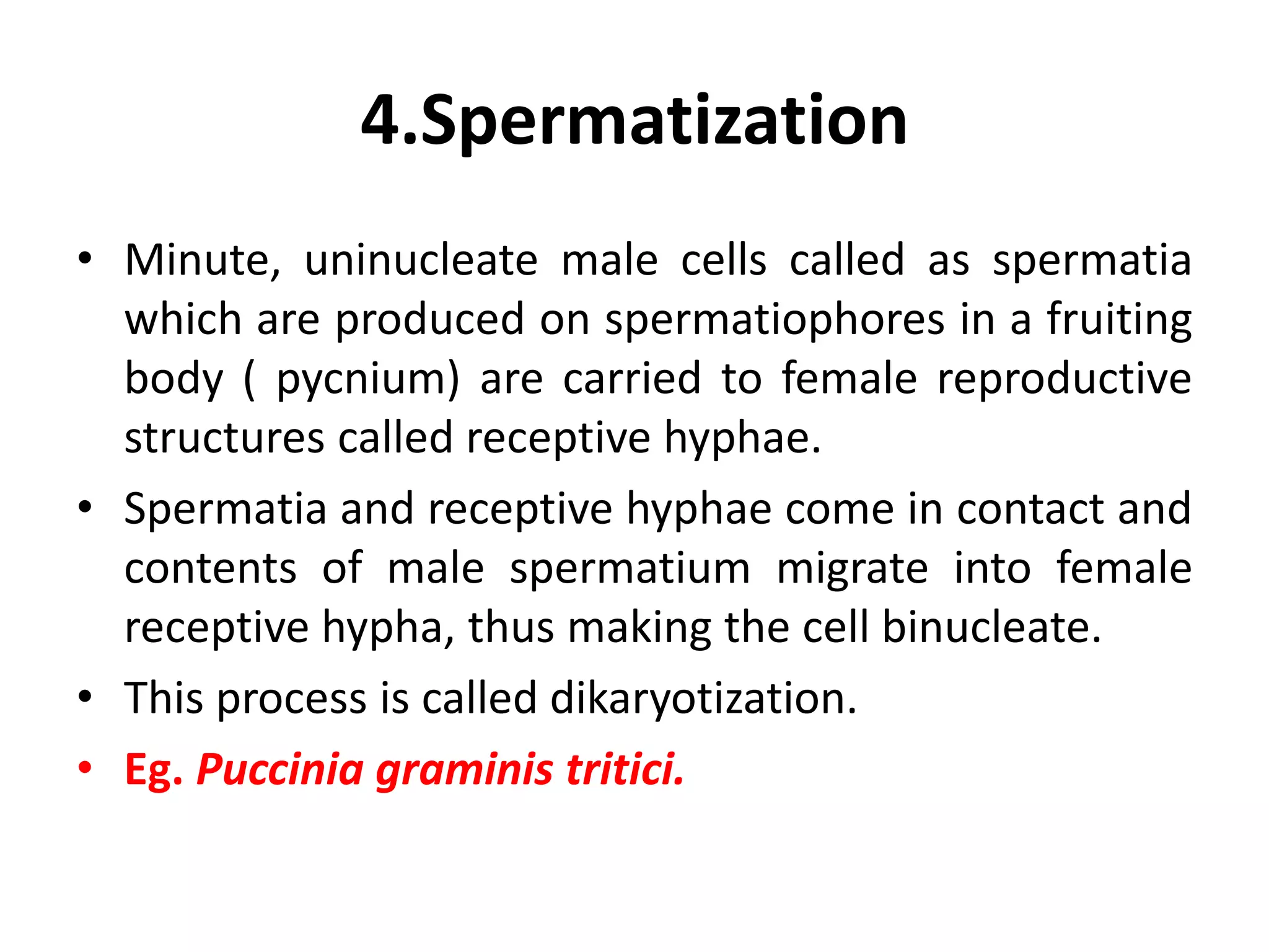 Reproduction in fungi | PPTX