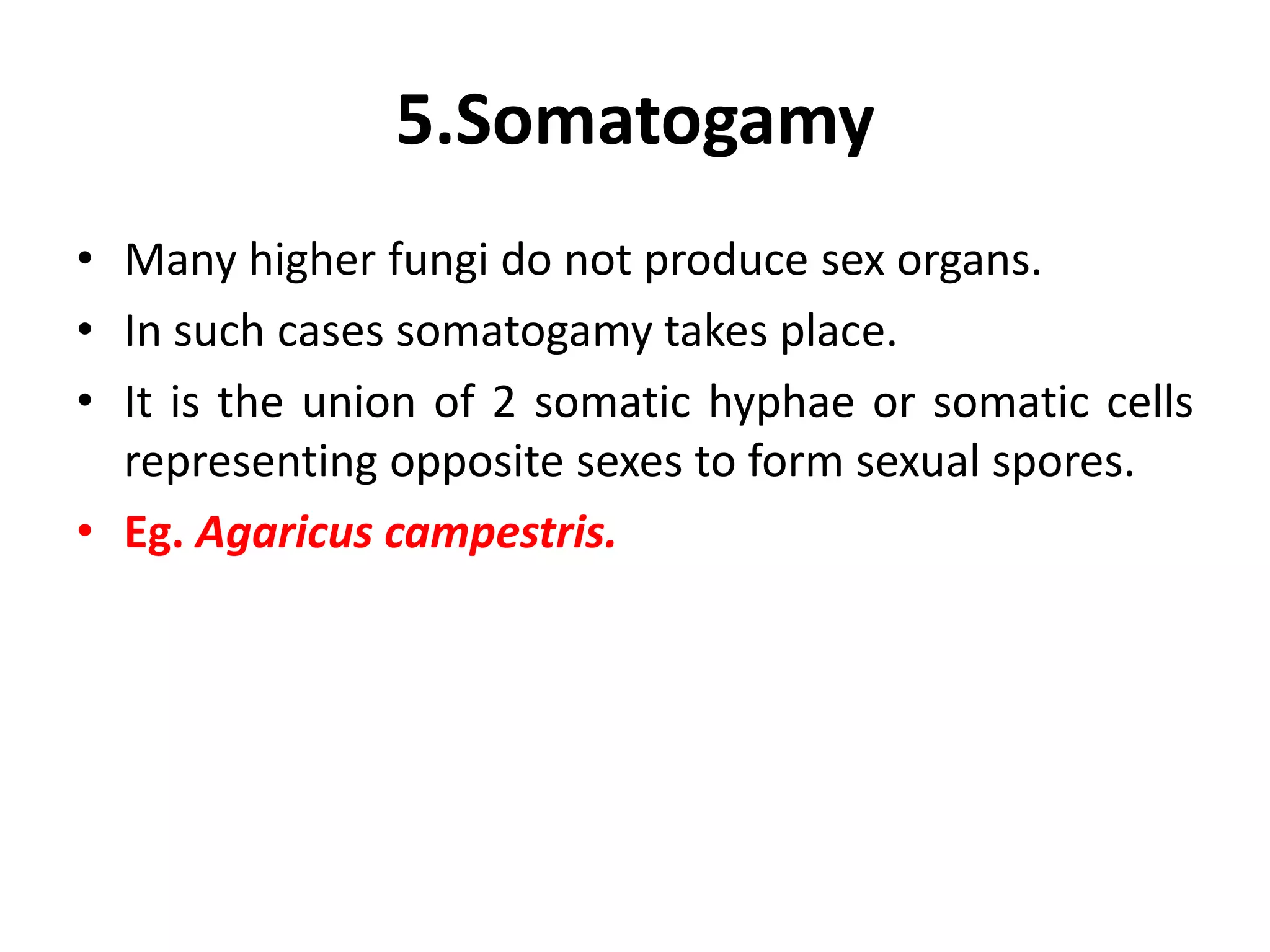 Reproduction in fungi | PPTX