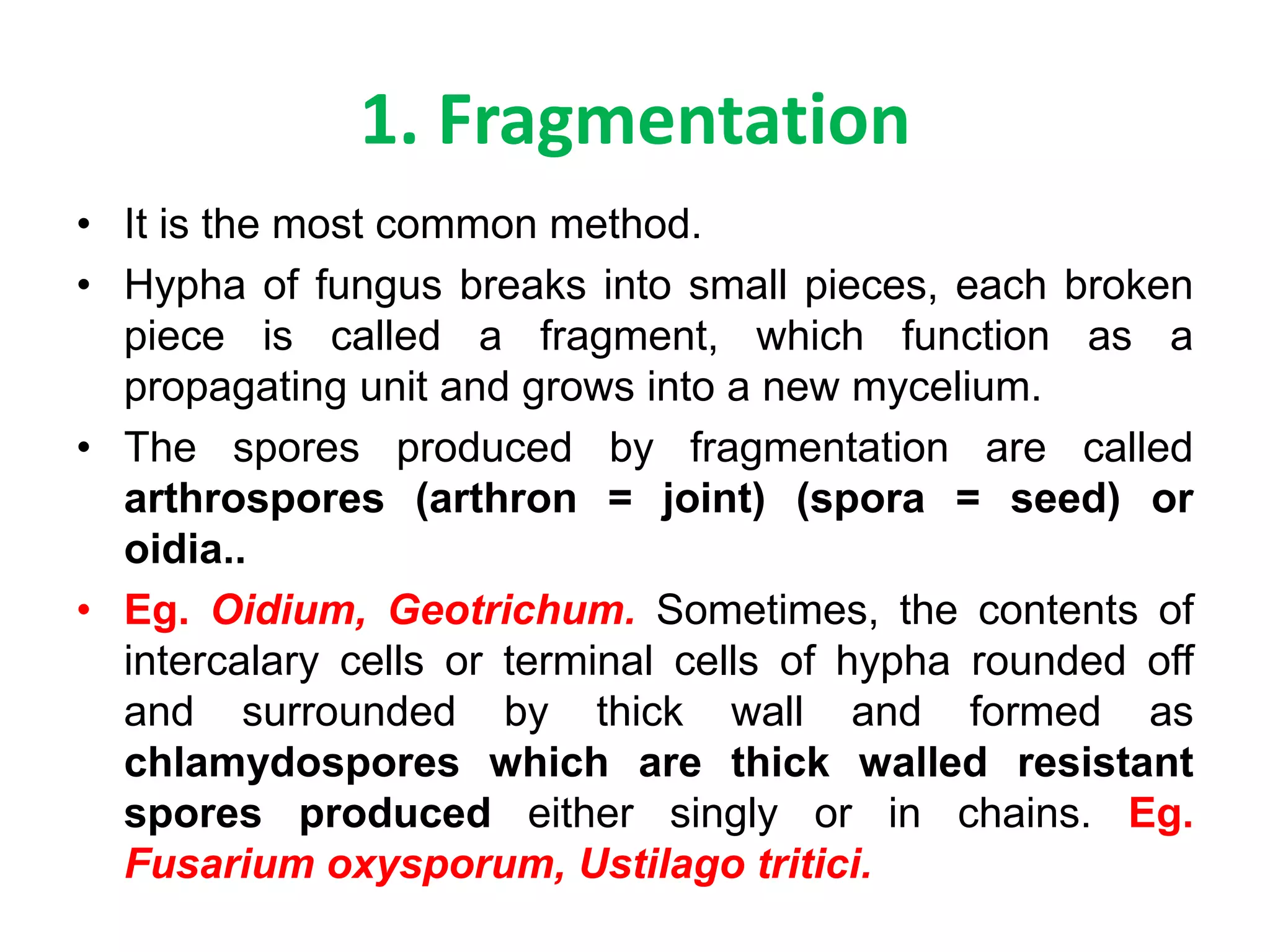 Reproduction in fungi | PPTX