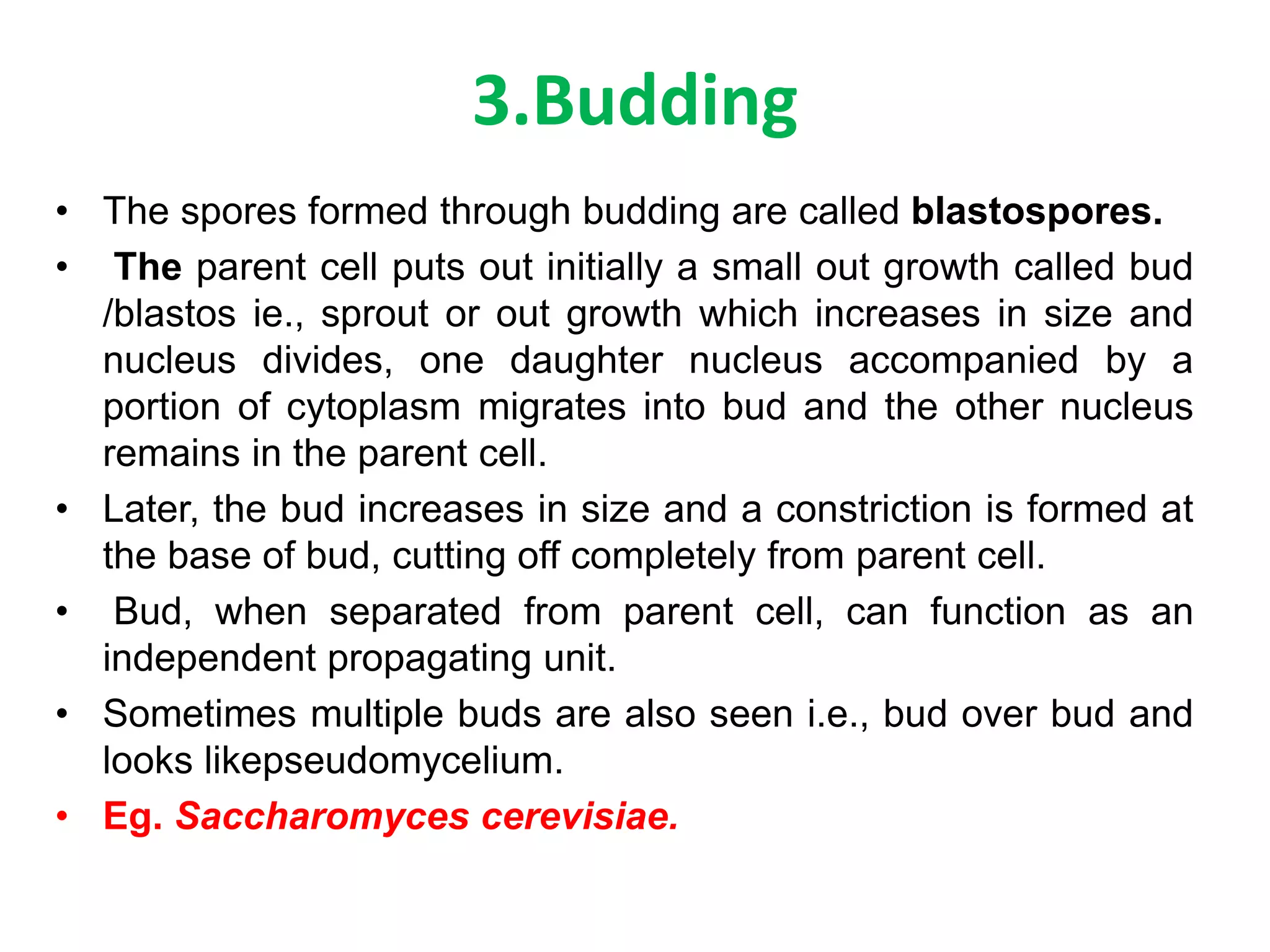 Reproduction in fungi | PPTX
