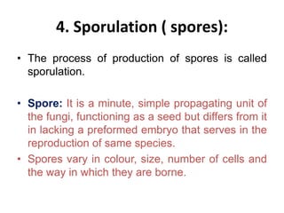 Reproduction in fungi | PPTX