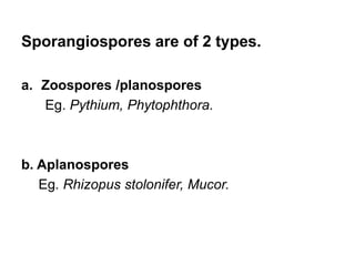 Reproduction in fungi | PPTX