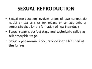 Reproduction in fungi | PPTX