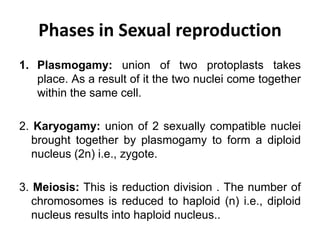 Reproduction in fungi | PPTX