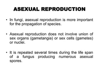 Reproduction in fungi | PPTX