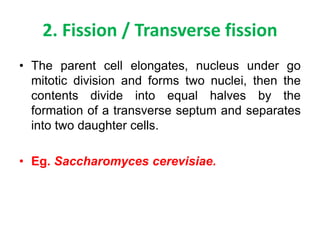 Reproduction in fungi | PPTX