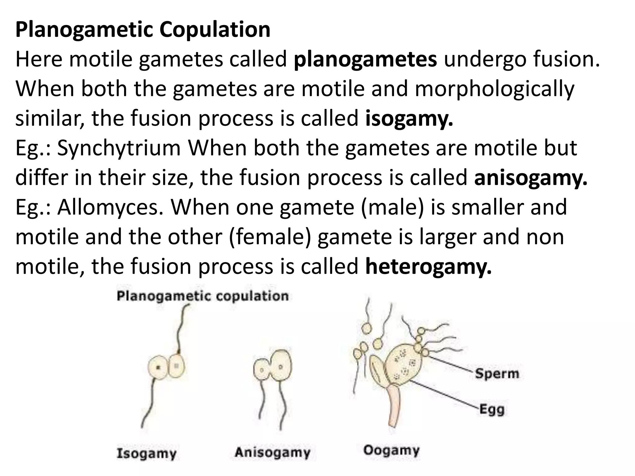reproduction in fungi.pptx