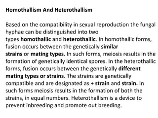 reproduction in fungi.pptx