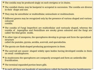 Reproduction in fungi by Arsalan Gulzar.pptx