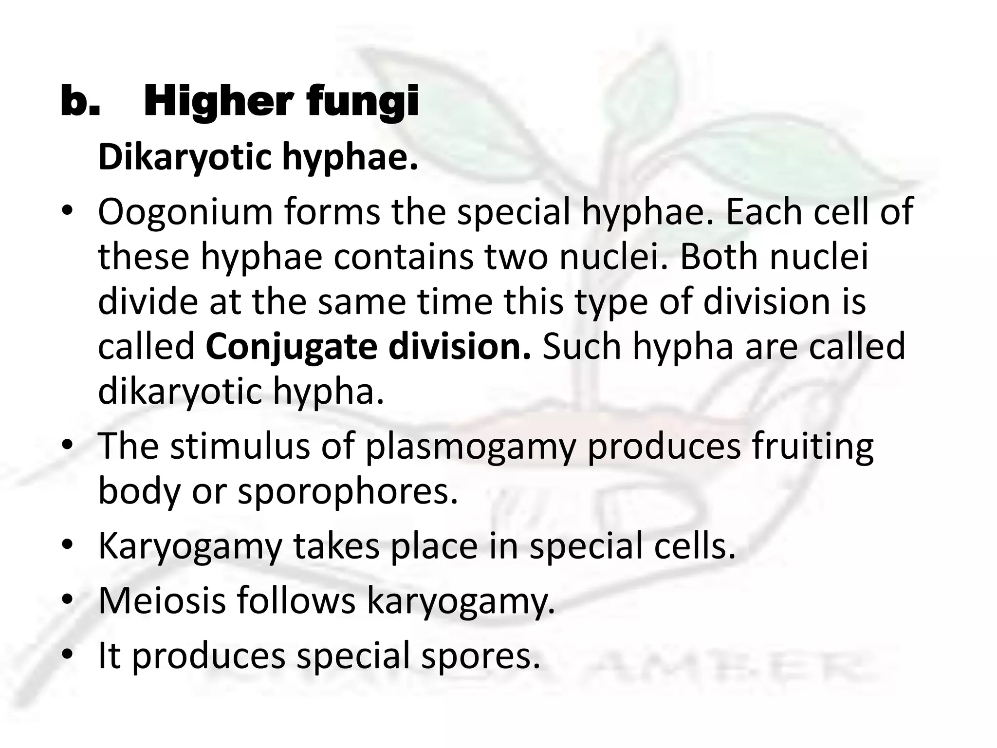 Reproduction in FUNGI | PPTX