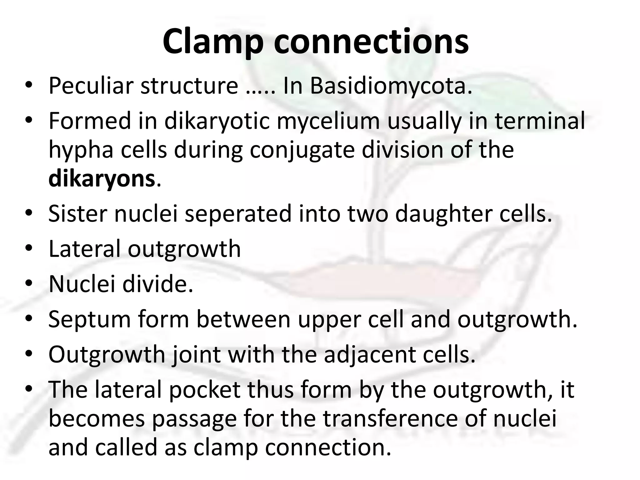 Reproduction in FUNGI | PPTX