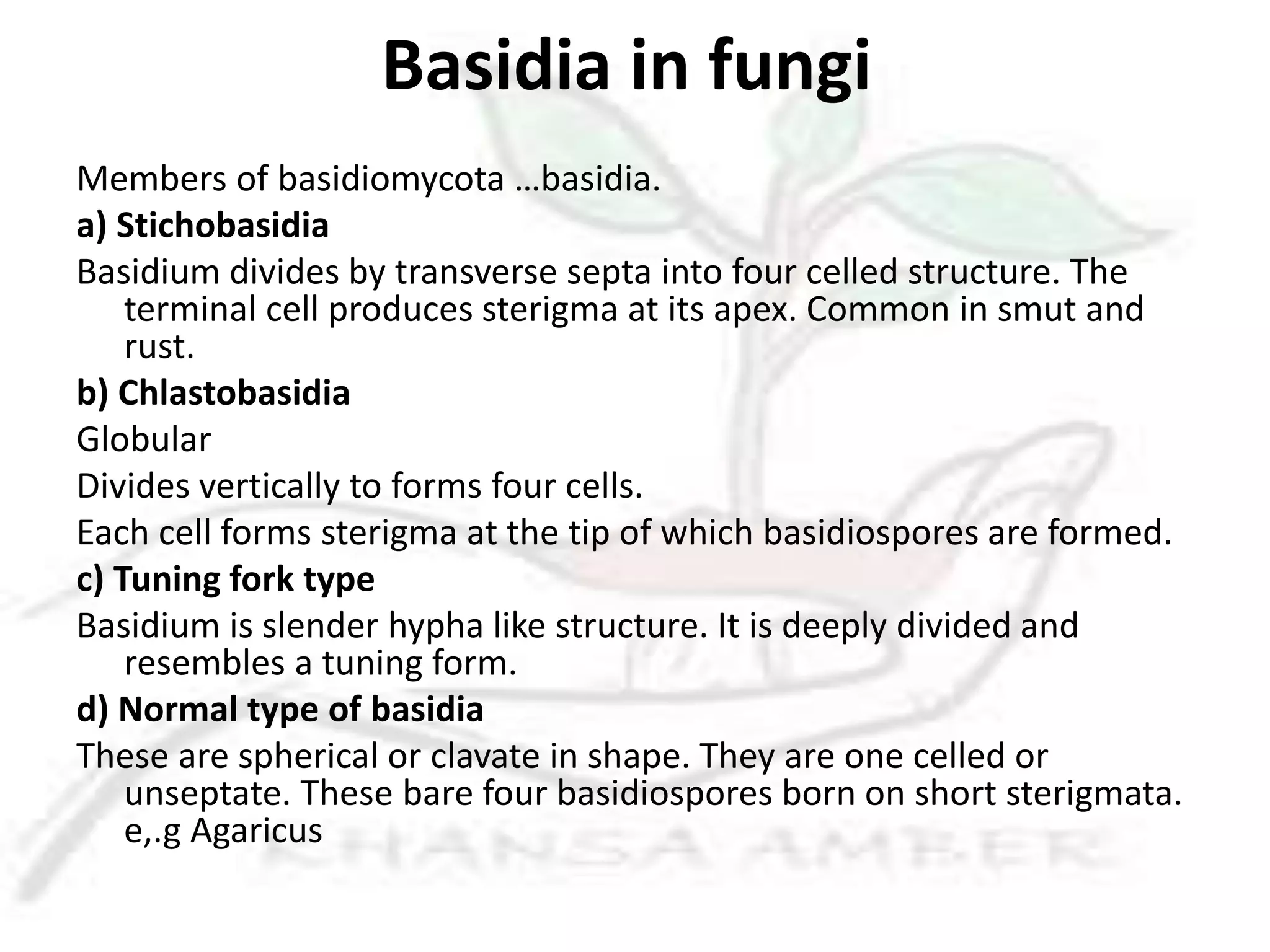 Reproduction in FUNGI | PPTX