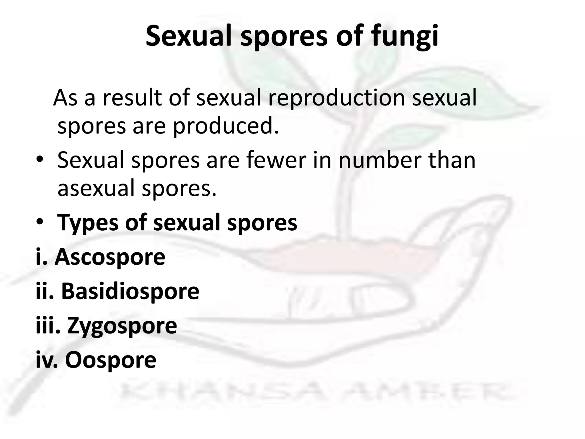 Reproduction in FUNGI | PPTX