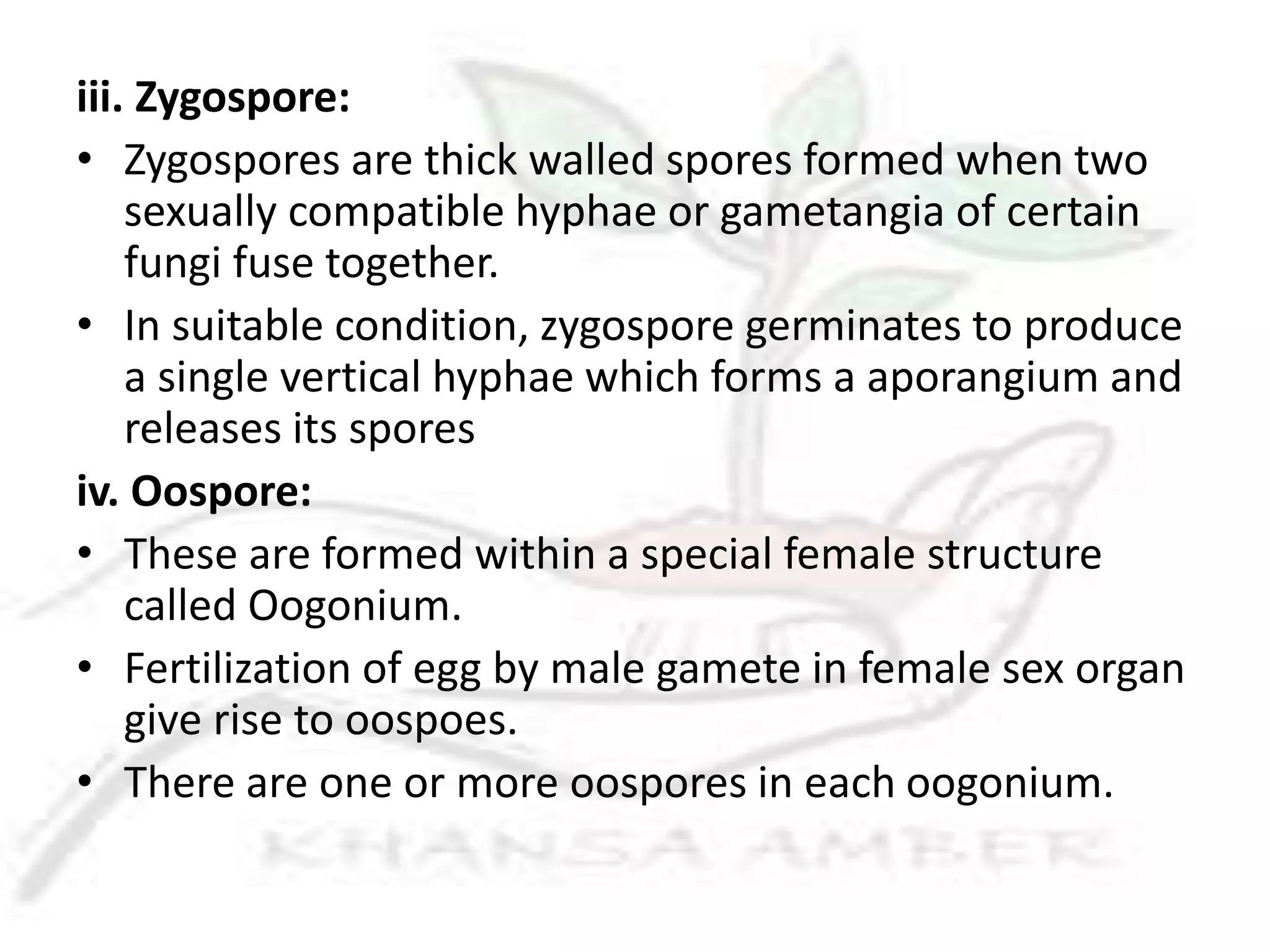 Reproduction in FUNGI | PPTX