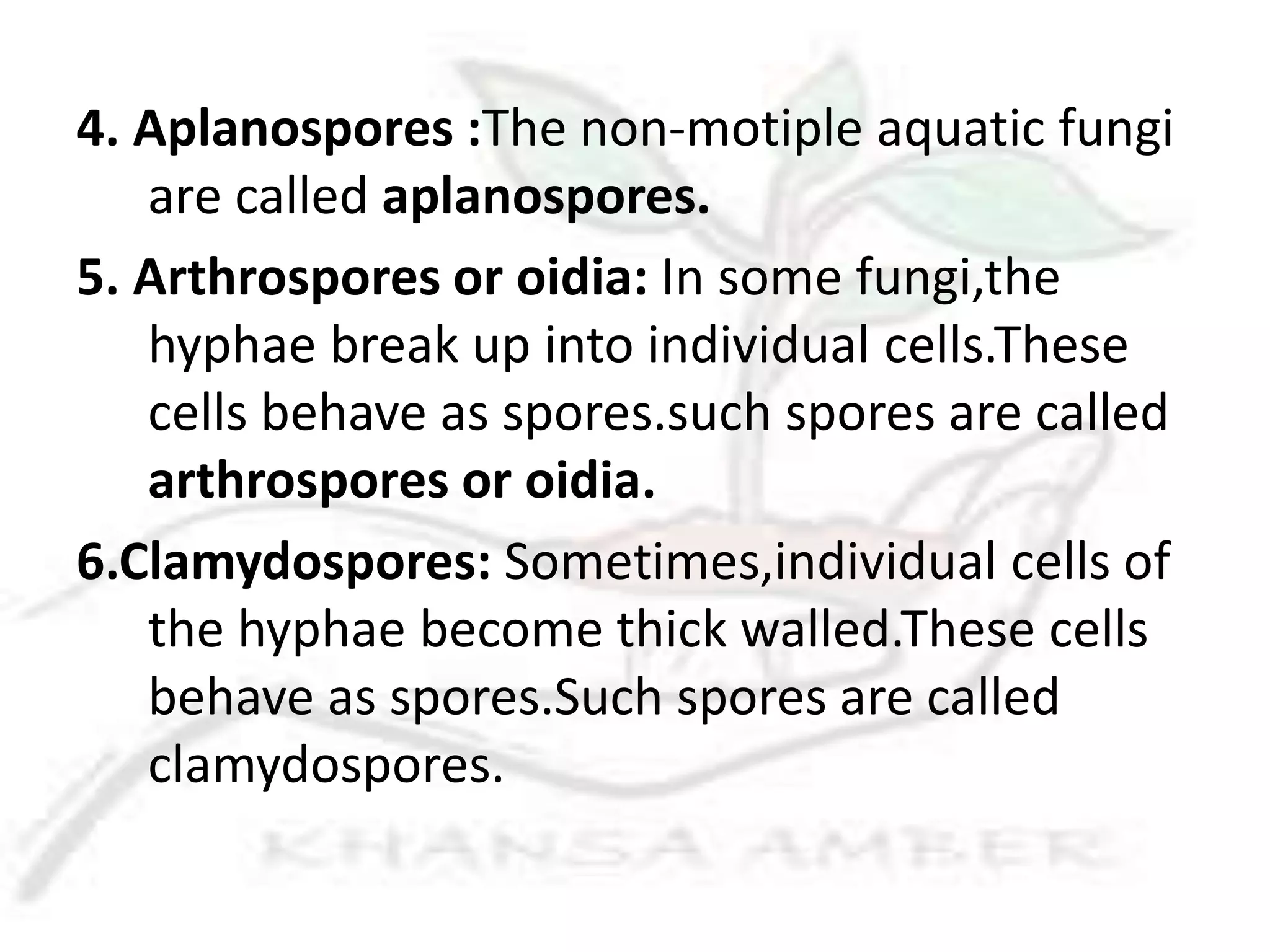 Reproduction in FUNGI | PPTX