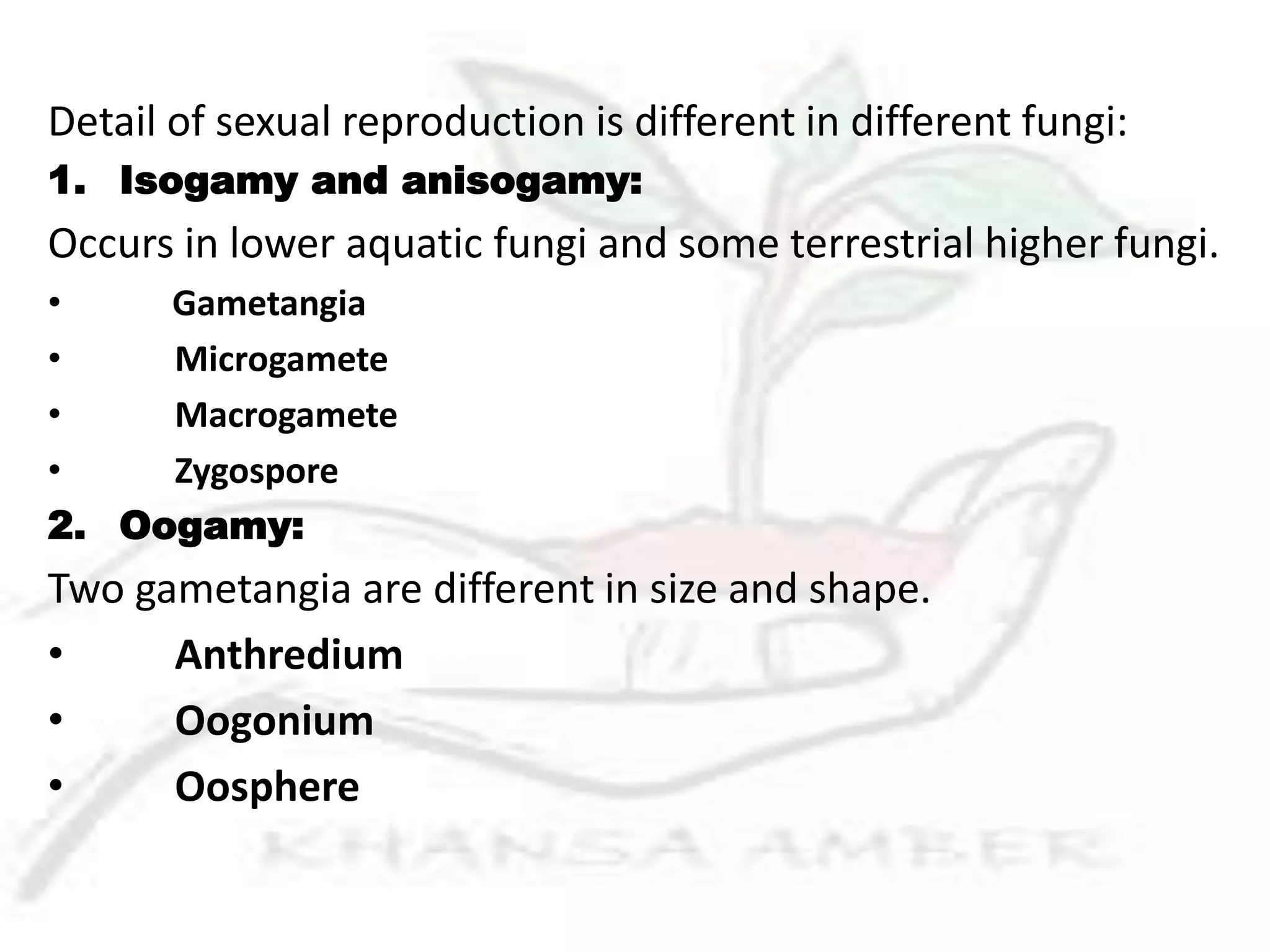 Reproduction in FUNGI | PPTX