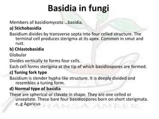 Reproduction in FUNGI | PPTX
