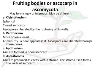 Reproduction in FUNGI | PPTX