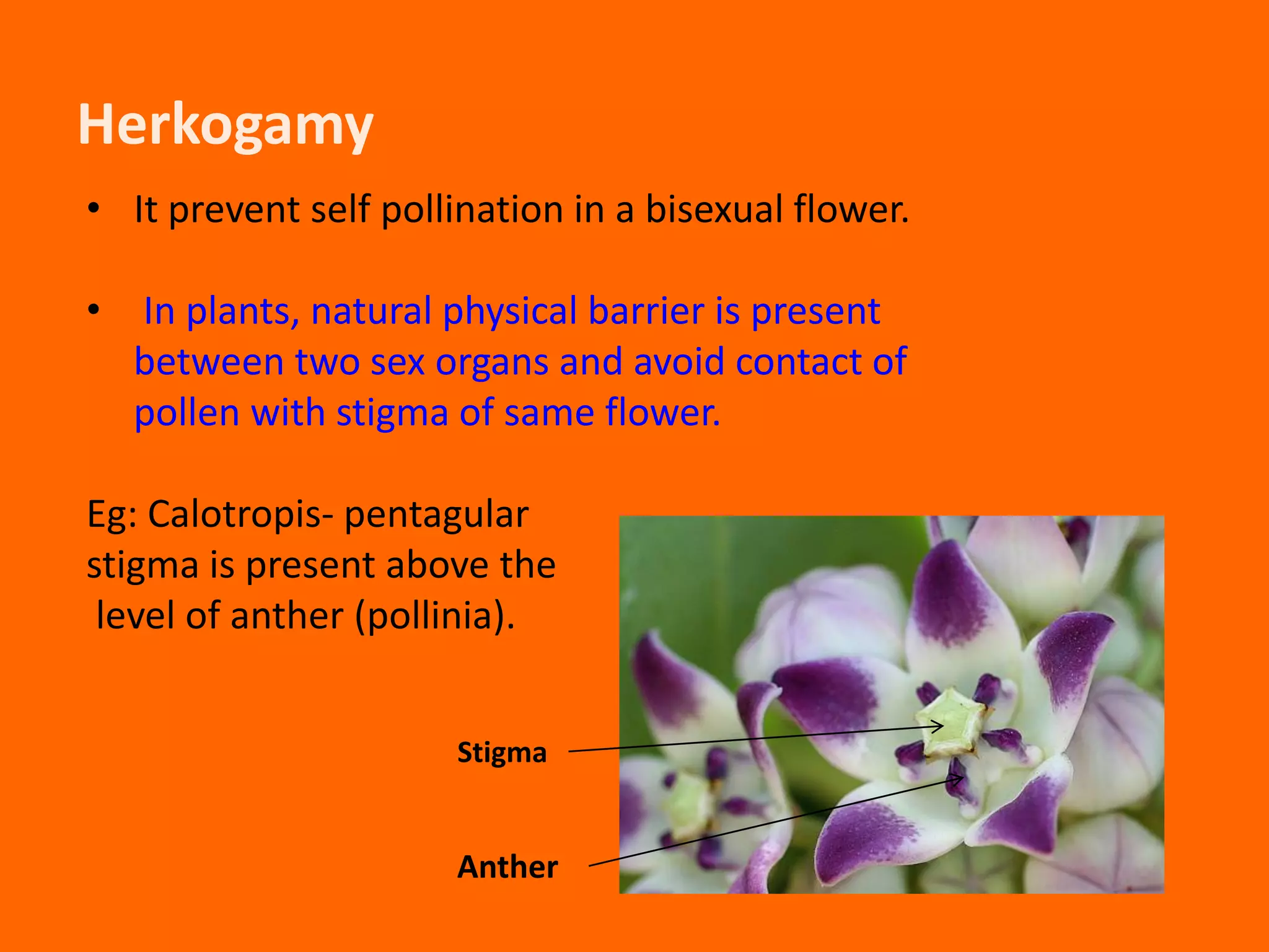 Reproduction in Lower and Higher plants | PDF