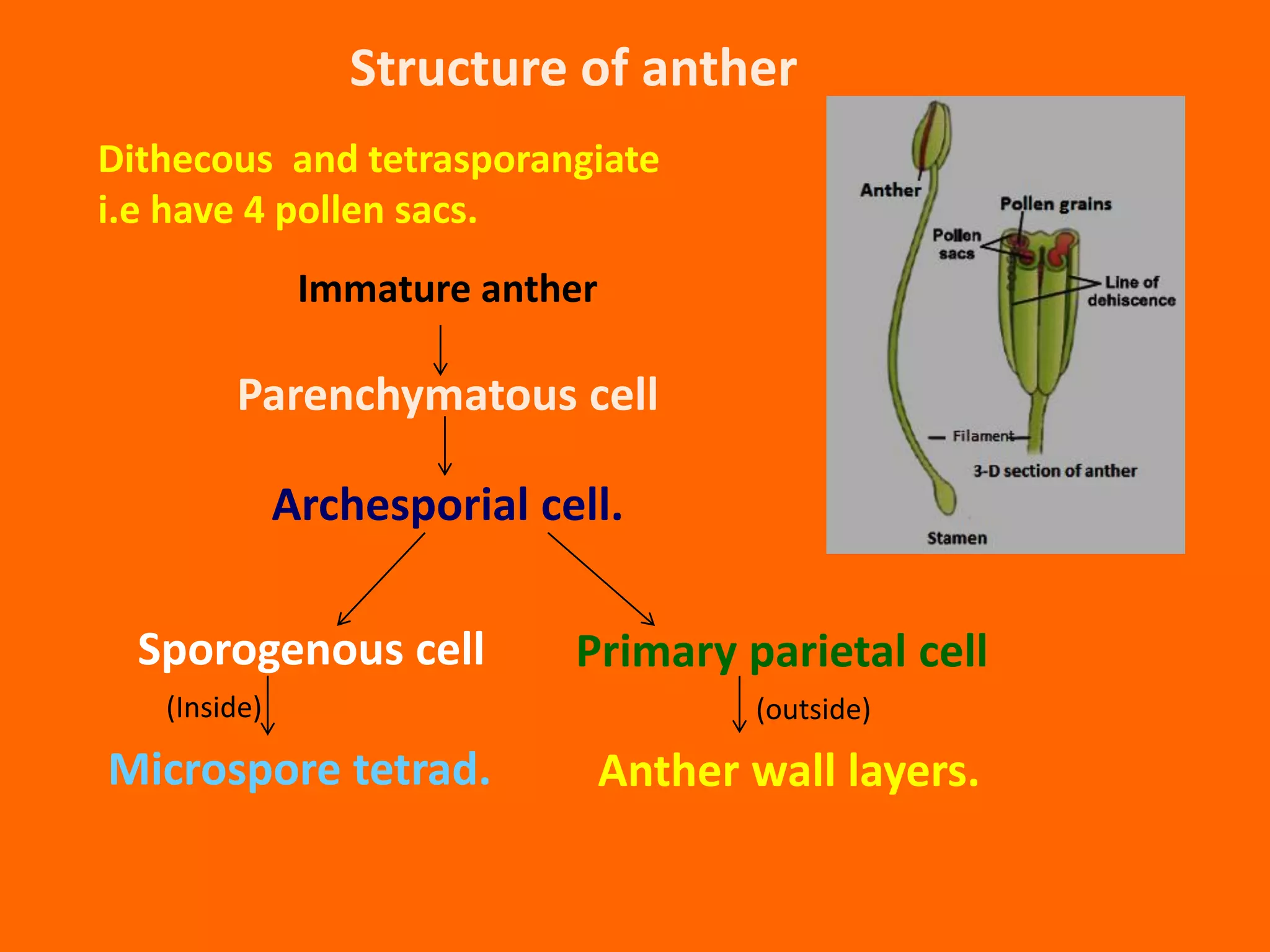 Reproduction in Lower and Higher plants | PDF