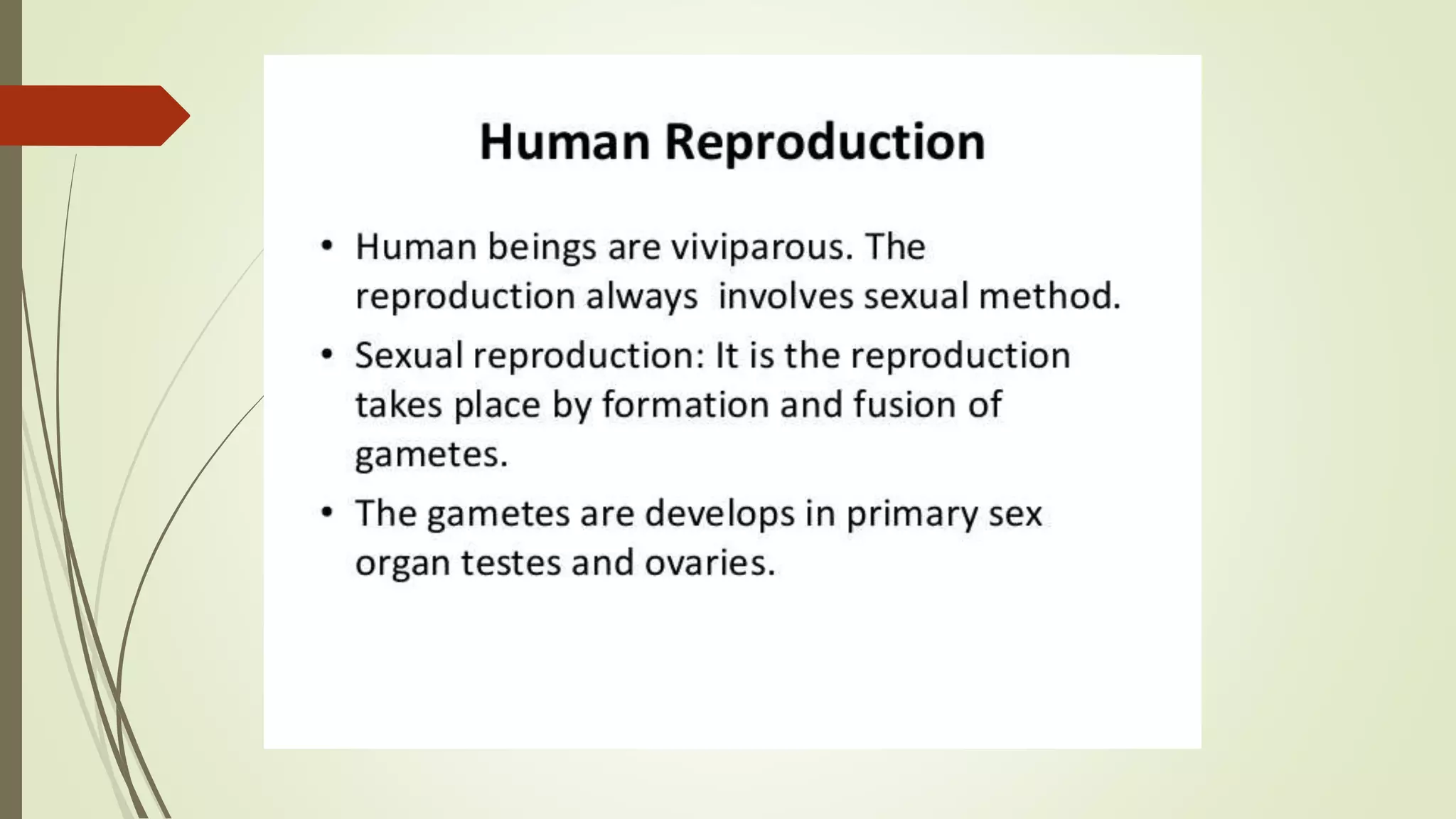 reproduction in human.pptx