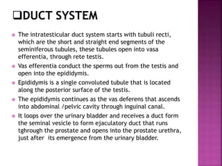 Reproduction in human 1 | PPT