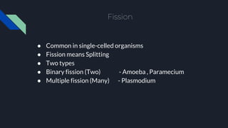 Reproduction in humans | PPTX