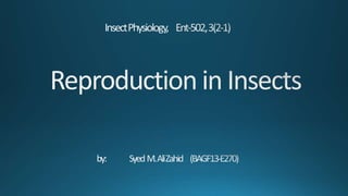 Reproduction in insects | PPTX