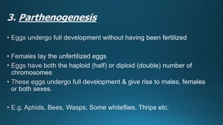 Reproduction in insects | PPTX