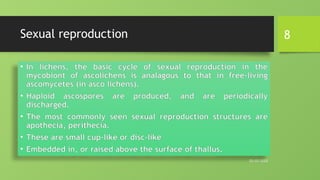 Reproduction in Lichens of different genera | PPTX