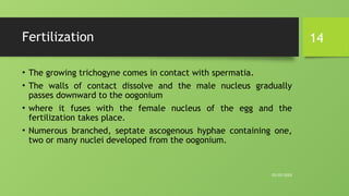 Reproduction in Lichens of different genera | PPTX