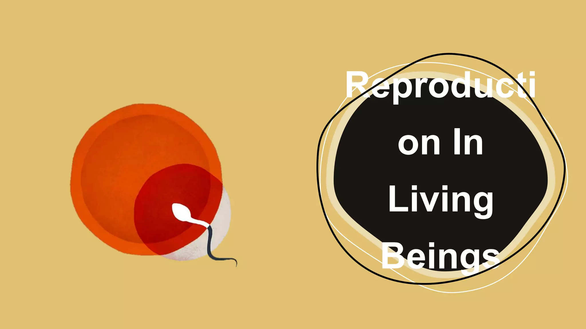 Reproduction In Living Beings Class - 10th | PPTX