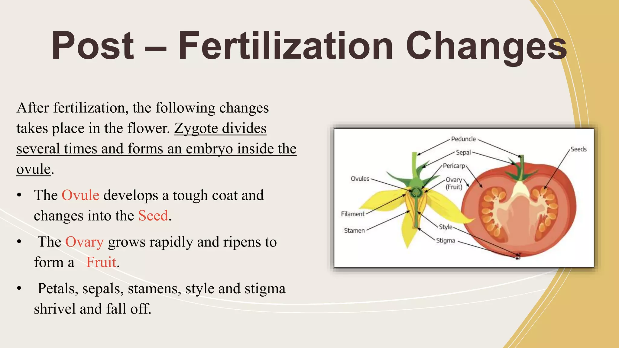Reproduction In Living Beings Class - 10th | PPTX