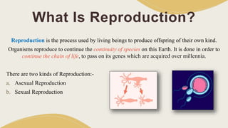 Reproduction In Living Beings Class - 10th | PPT