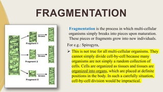 Reproduction In Living Beings Class - 10th | PPT