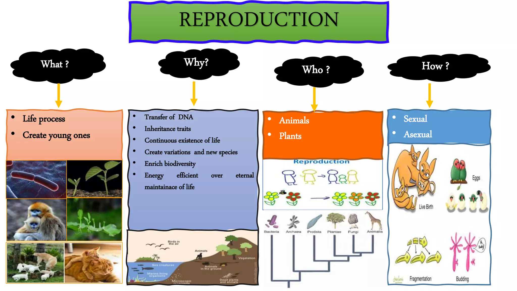 Reproduction in plants | PPTX