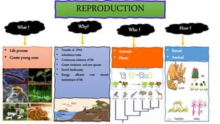 Reproduction in plants | PPT