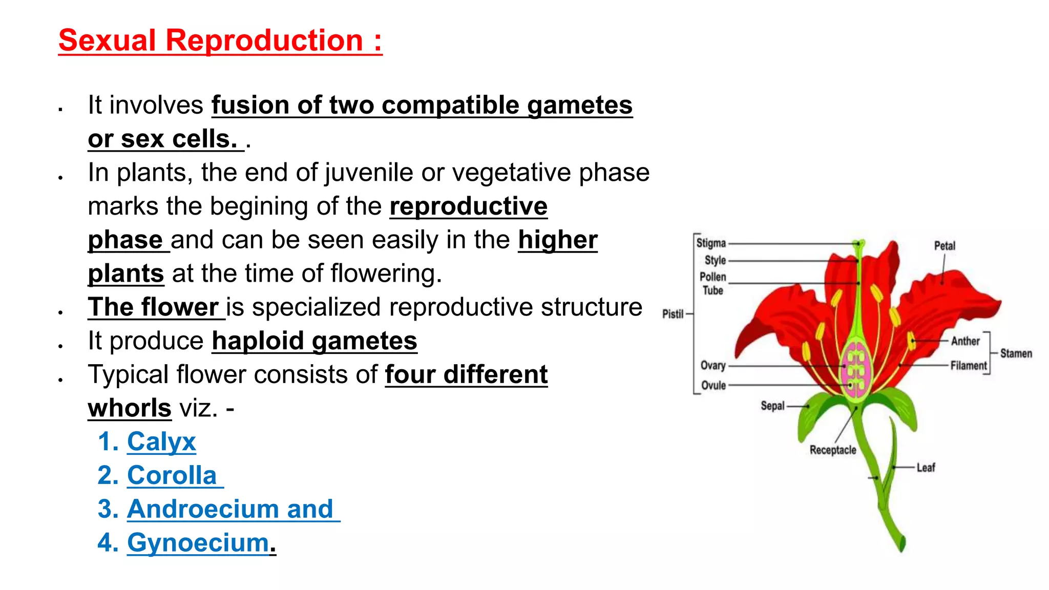 Reproduction in lower and higher plants | PPTX