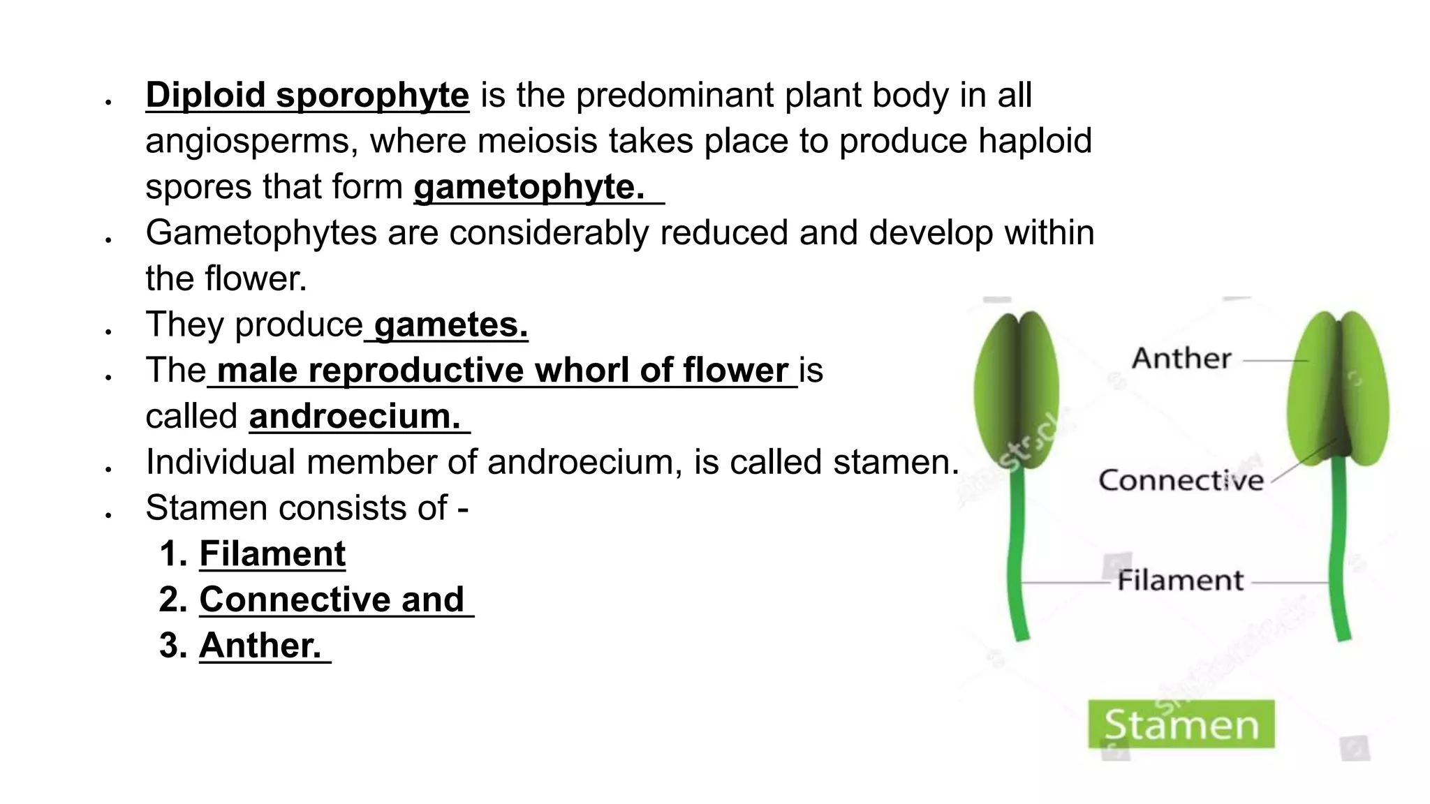 Reproduction in lower and higher plants | PPTX